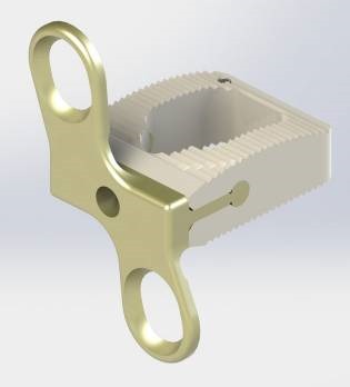 Italy's Sintea Plustek Launches New Spinal Implants Made of Solvay’s ...